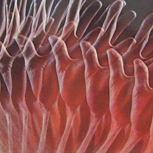 weekly astrology report tom lescher | MYSTICMAMMA.COM : consciousness ...